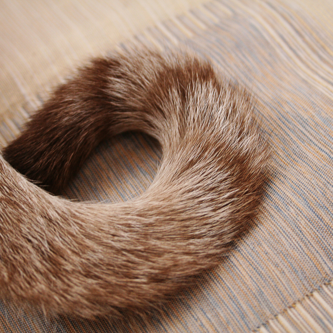 Le langage de la queue chez le chat : comment le décrypter ? - Une ...